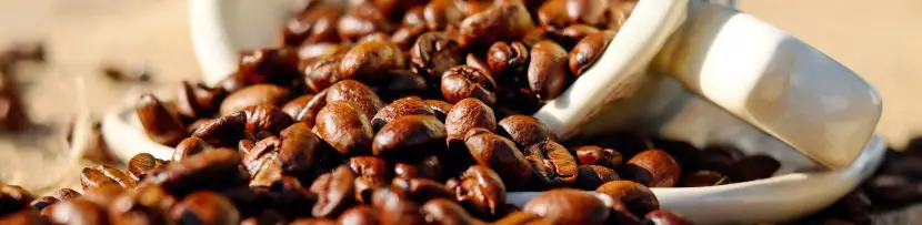 The 6 Best Wide Bottom Travel Mugs for Your Coffee