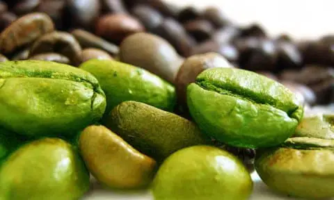 The 7 Best Organic Coffee Brands of 2024!!